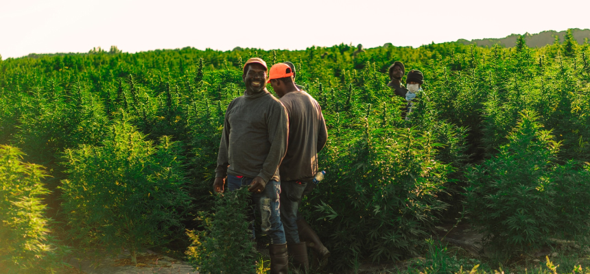 Printrite Impact Programme