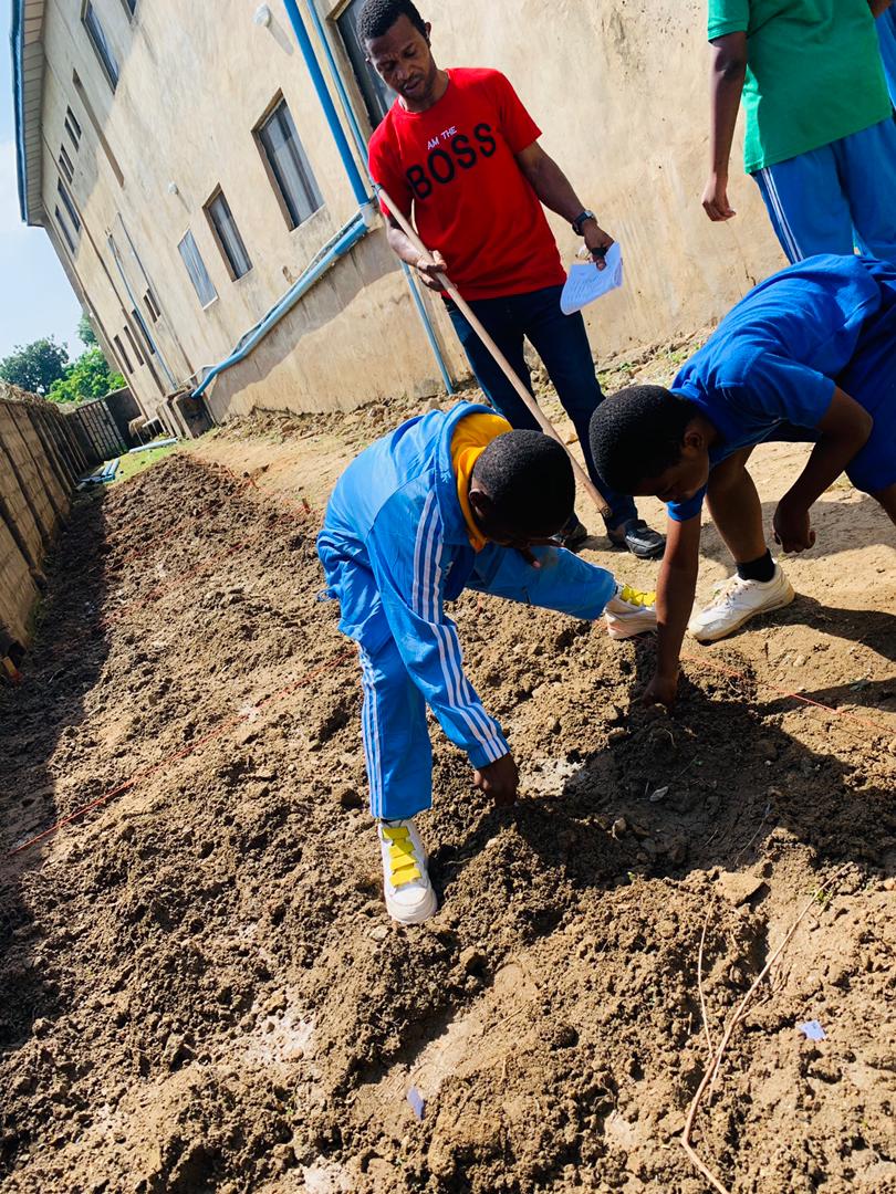 Printrite Impact Programme