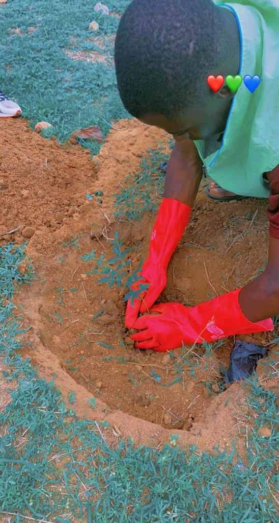 Printrite Impact Programme